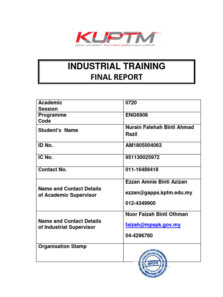 MPSPK Internship Experience Report | PDF