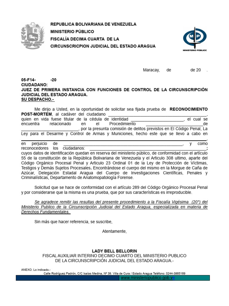 Formato Generico Reconocimiento Post Mortem | PDF | Fiscal | Justicia