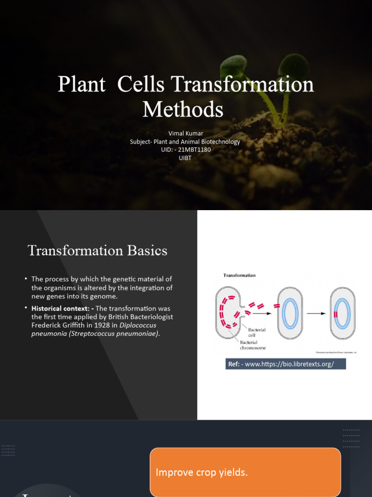 Transformation Plant Cells. | PDF | Transformation (Genetics) | Chemistry