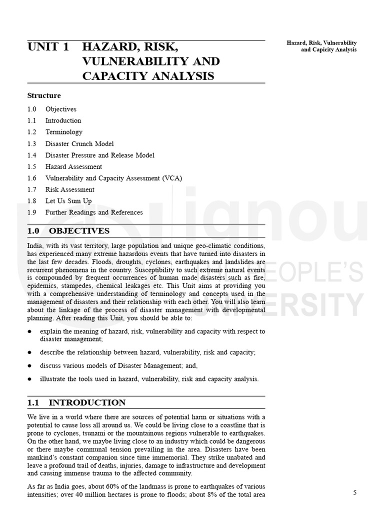 Hazard Risk Vulnerability | PDF