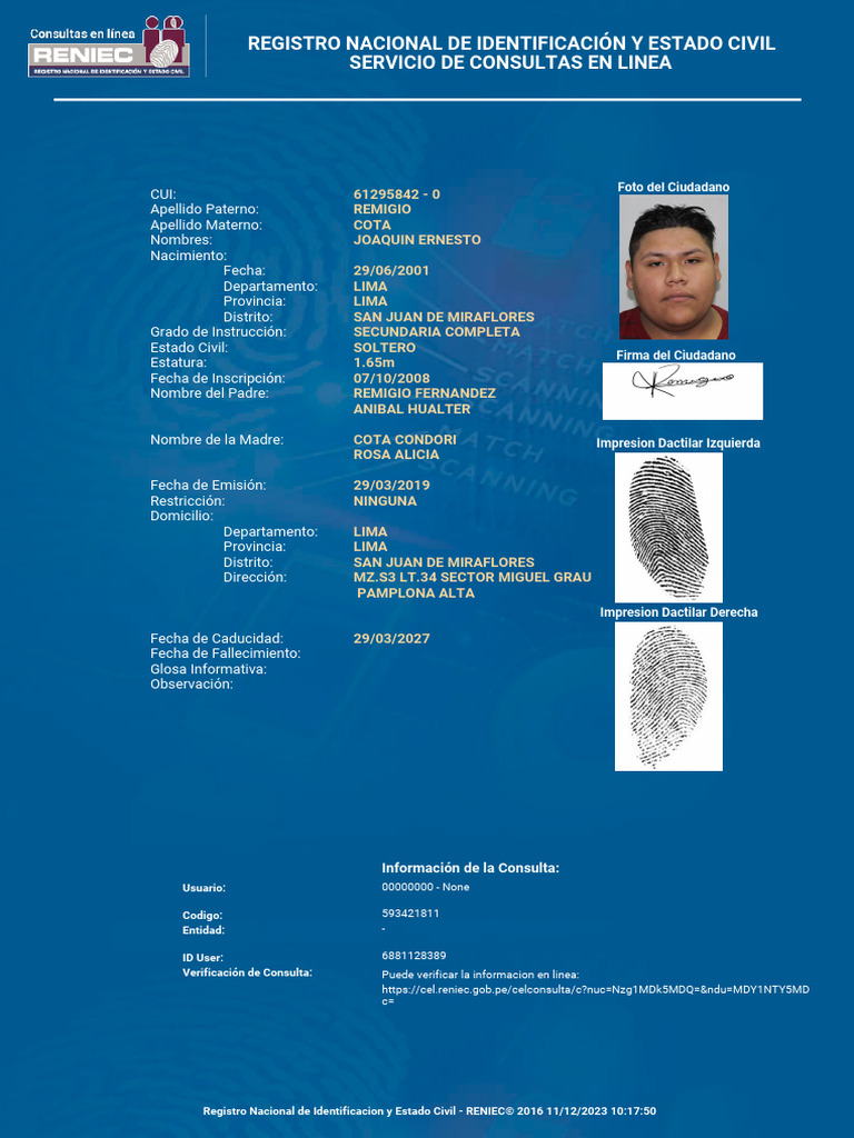 Datos de Identificación RENIEC 2023 | PDF