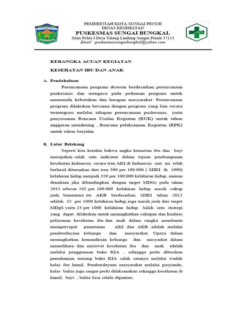 KAK Terkait Program Penurunan Jumlah Kematian Ibu Dan Bayi | PDF