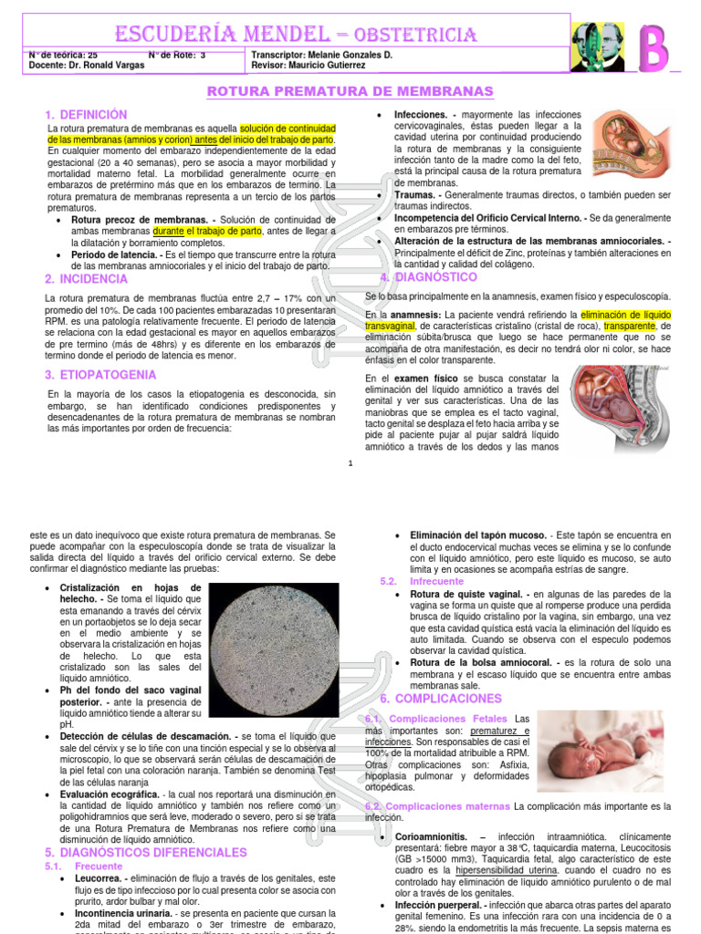 Obste 3er Parcial | PDF | Parto | El embarazo