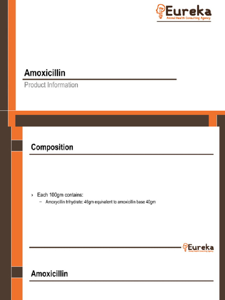Amoxicillin Productinformation | PDF