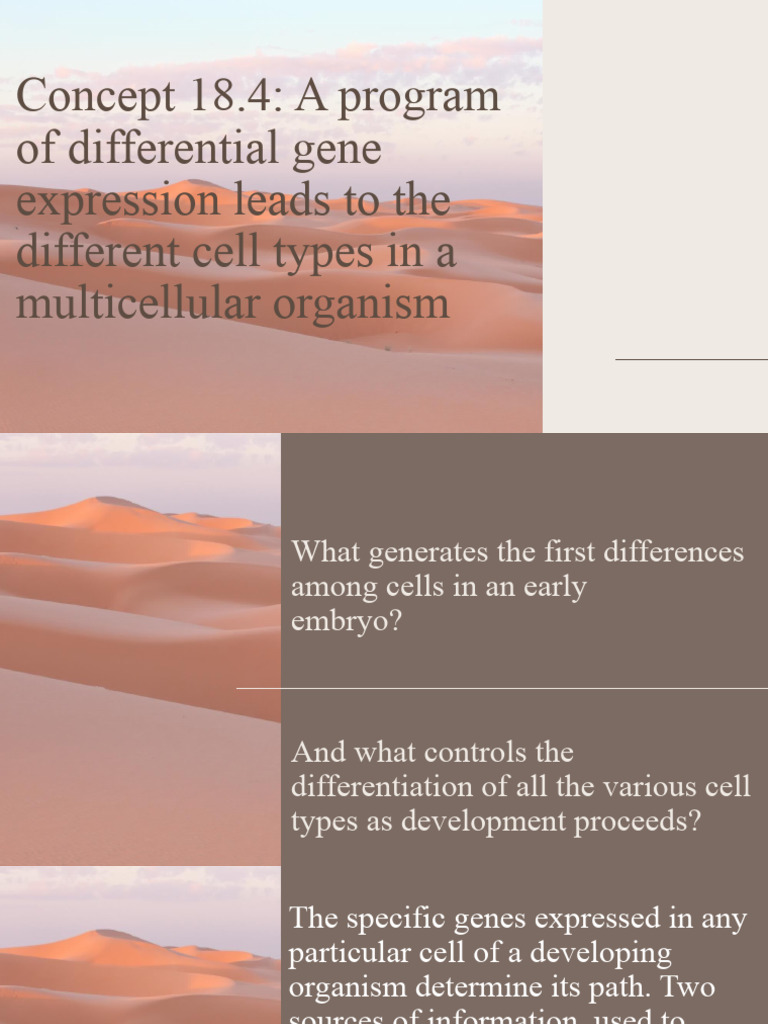 Concept 18 Part 2 1 | PDF