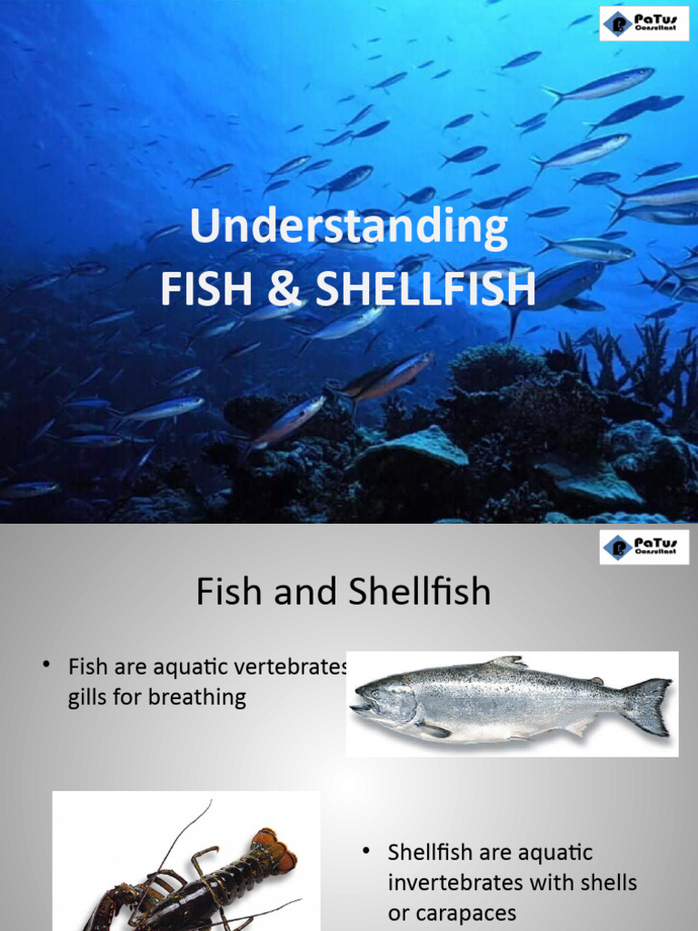 Fish & Shellfish | PDF
