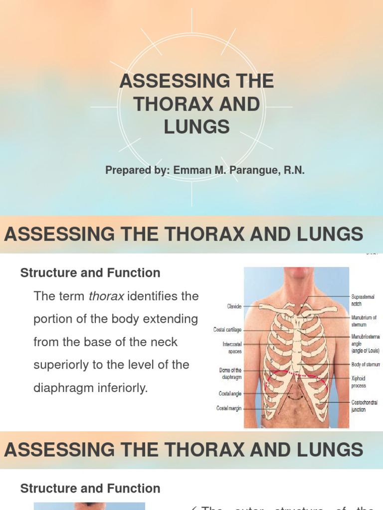 Assessing the Thorax and Lungs | PDF | Thorax | Lung