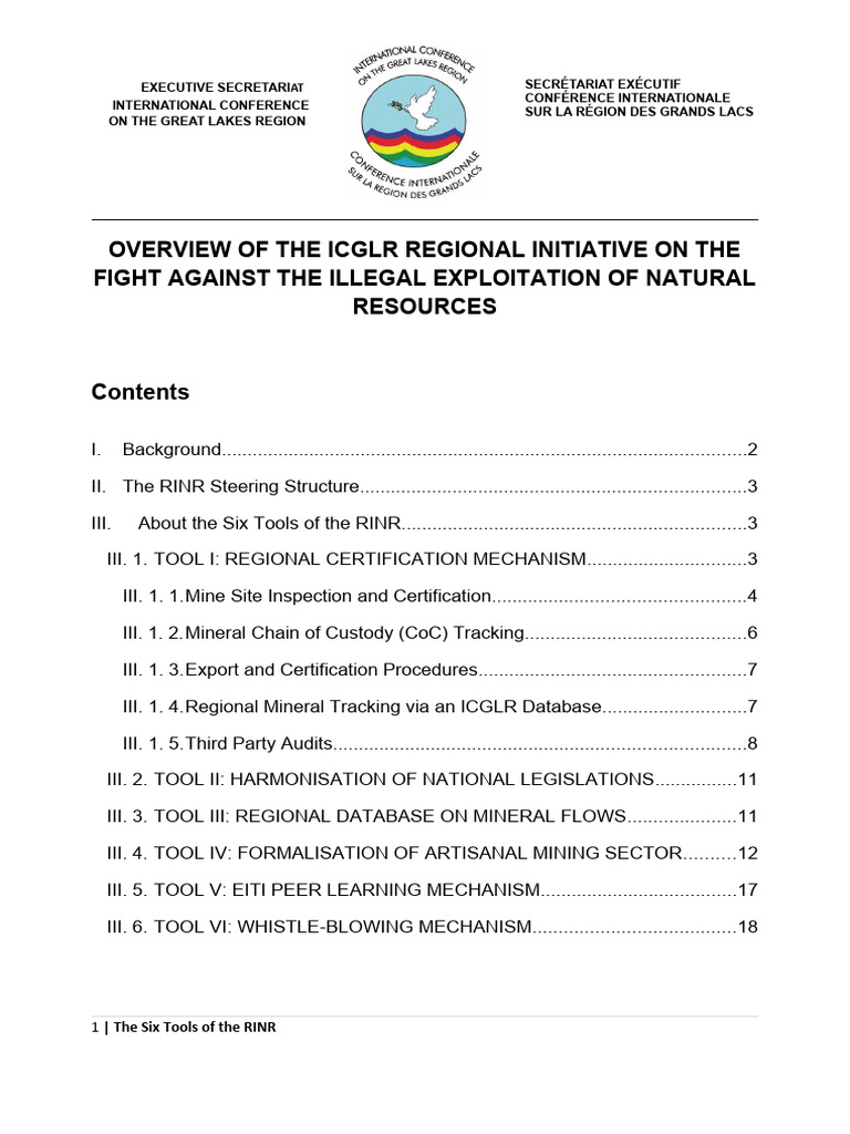 Overview of The SIx Tools of The RINR - Final | Download Free PDF ...