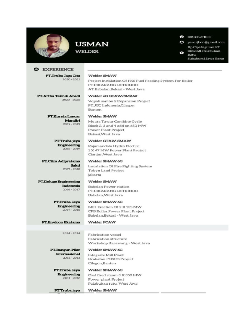 Usman CV | PDF