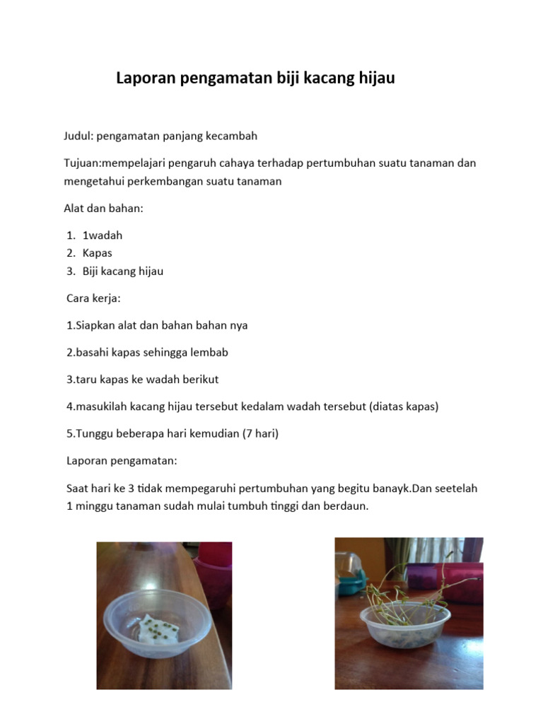 Laporan Pengamatan Biji Kacang Hijau | PDF
