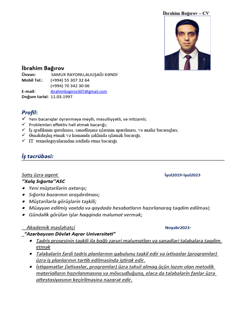 Ibrahim CV | PDF