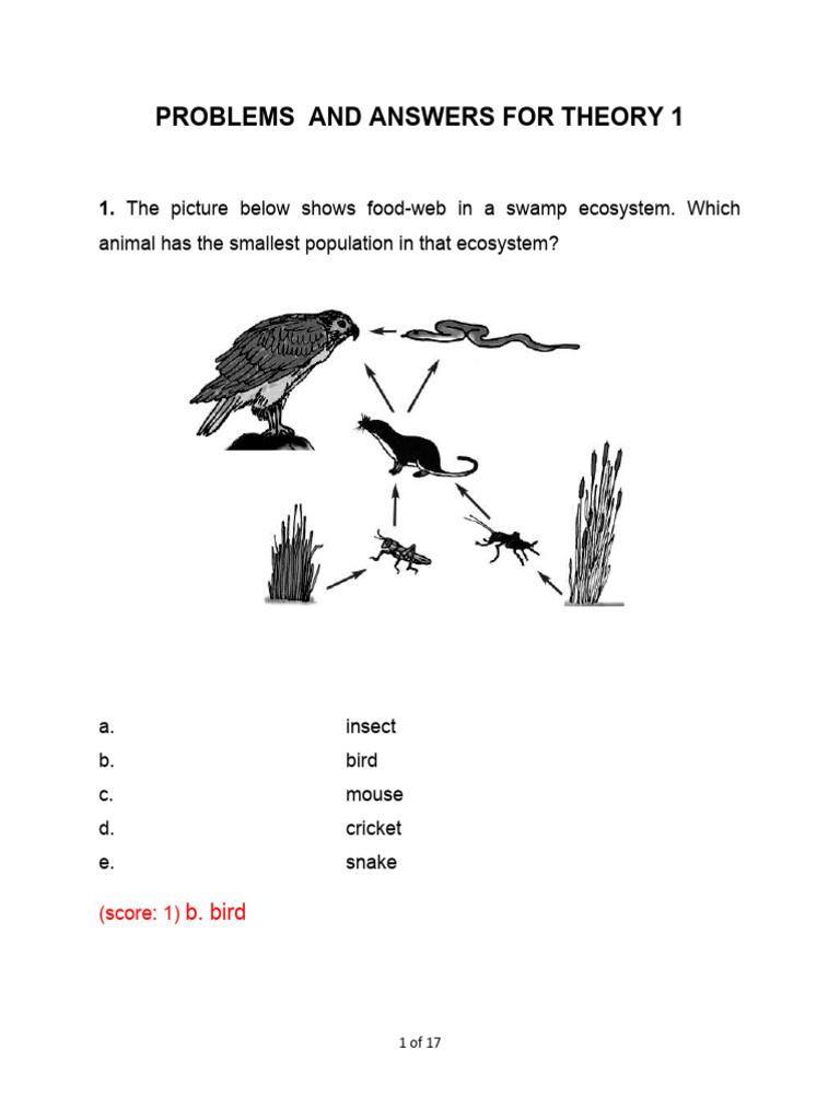 IMSO 2009 Problems and Answers For Theory 1 | PDF