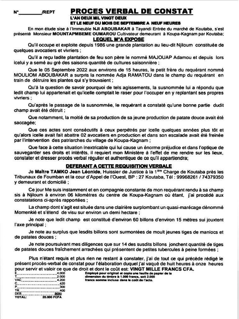 Procès Verbal | PDF