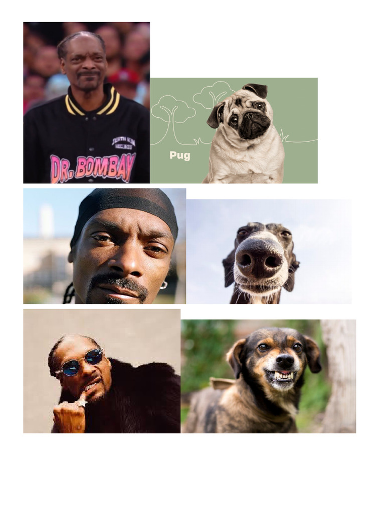 Snoop Dogg | PDF
