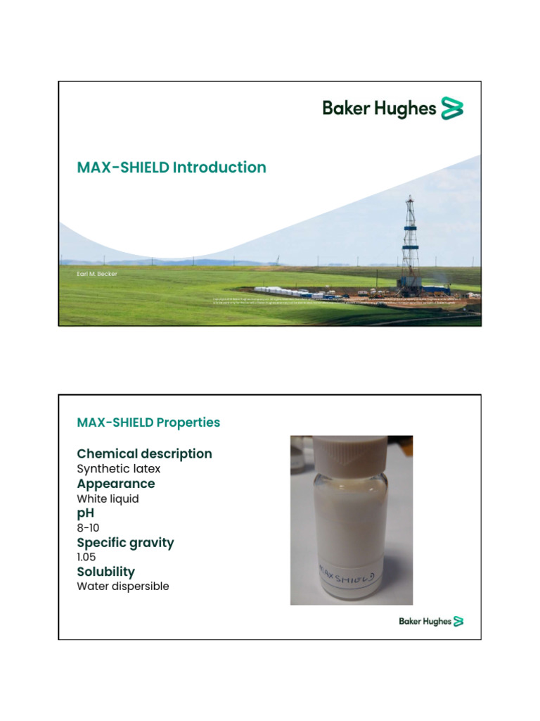 04 - Max Shield | PDF