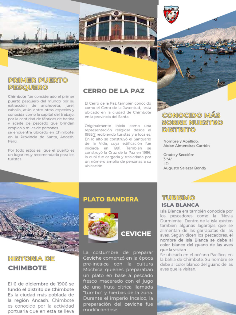 Folleto Brochure de Servicios Empresa Profesional Amarillo | PDF
