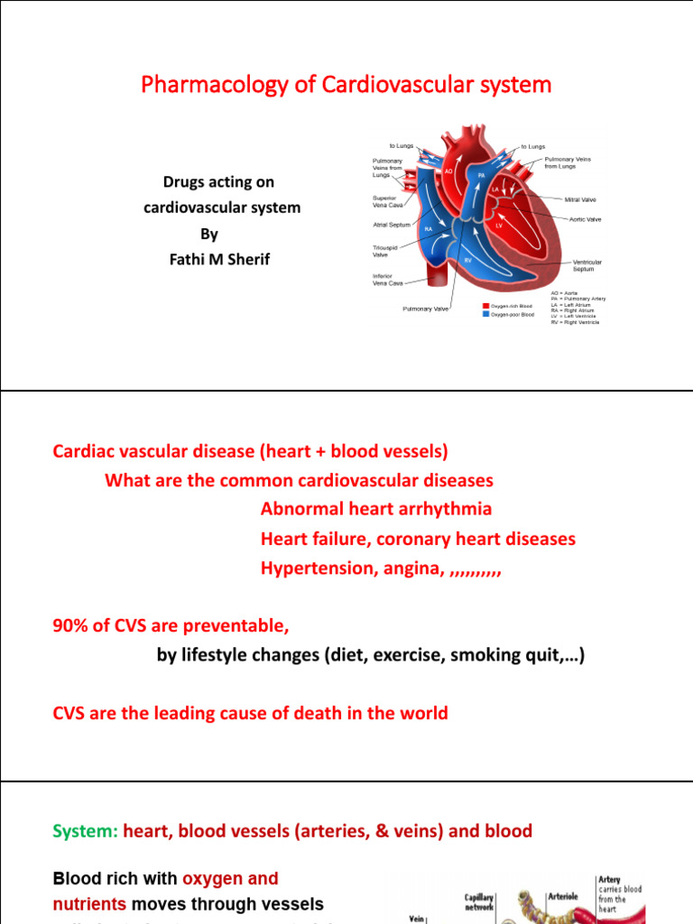 CVS, 2021 | PDF | Heart | Atrium (Heart)