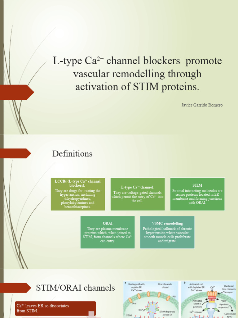 Project | PDF | Calcium In Biology | Stimulus (Physiology)