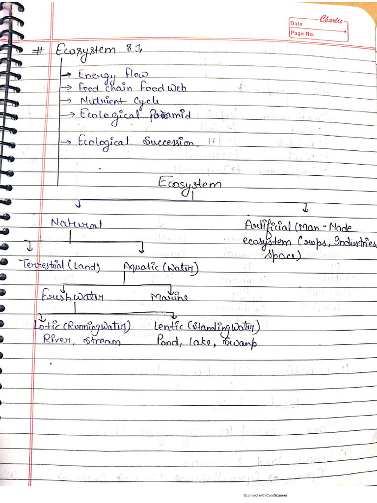 Ecosystem - Notes 1 | PDF
