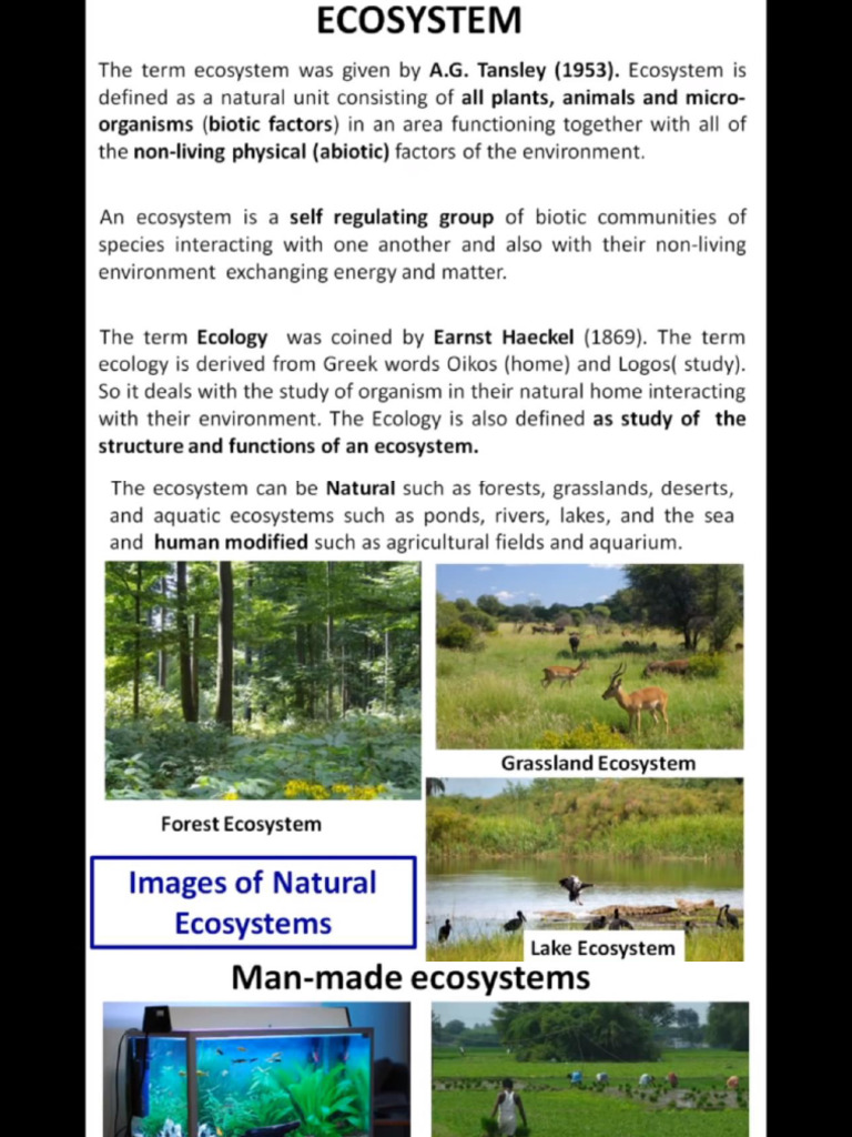 UNIT-2 Ecosytem (Structure and Function - Food Chain. Food Web, Energy Flow) | PDF | Food Web ...
