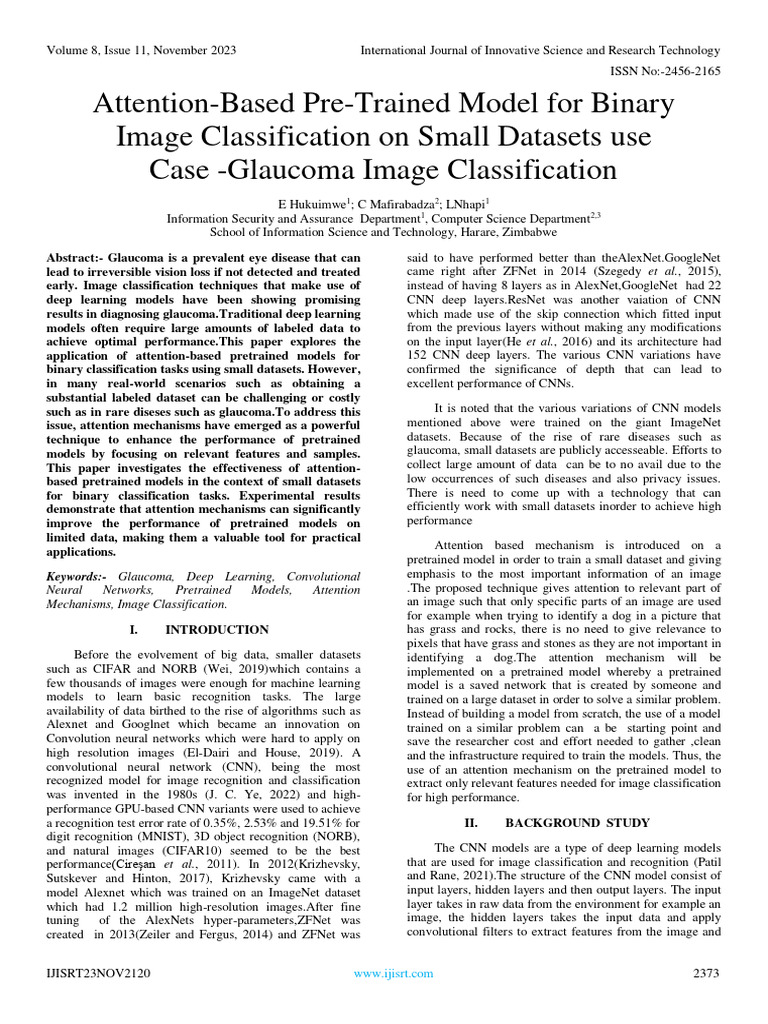 Attention-Based Pre-Trained Model For Binary Image Classification On ...