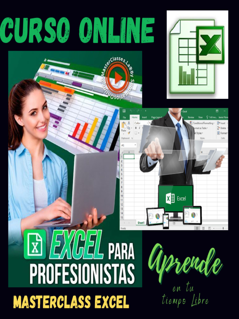 Curso Excel para Profesionales | PDF | Hoja de cálculo | Microsoft Excel