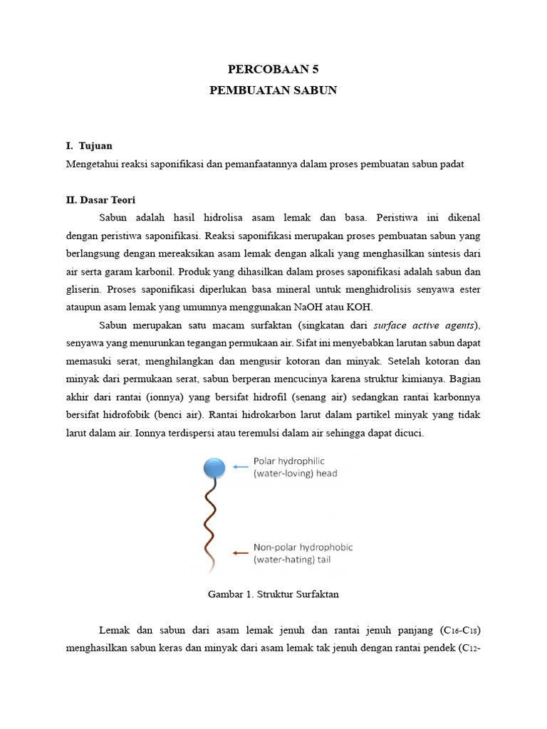Percobaan 5 Pembuatan Sabun | PDF | Sains & Matematika