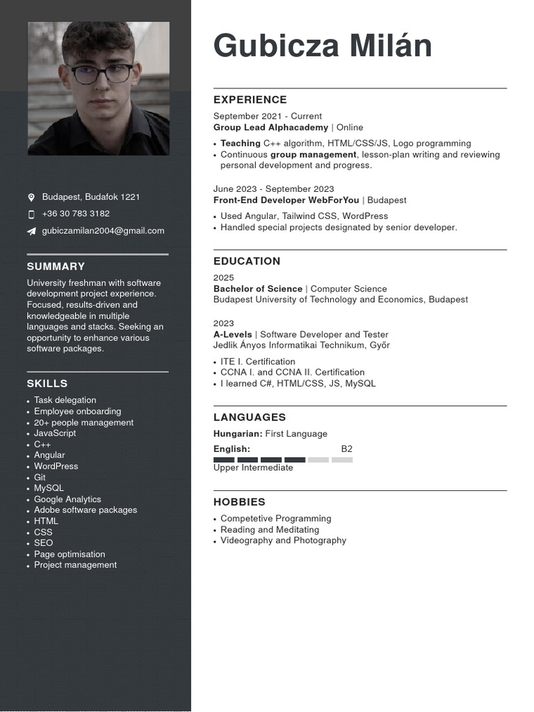 Gubicza Milan CV 2 | PDF