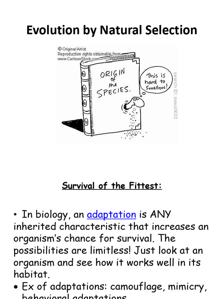 Evolution by Natural Selection | PDF | Natural Selection | Adaptation
