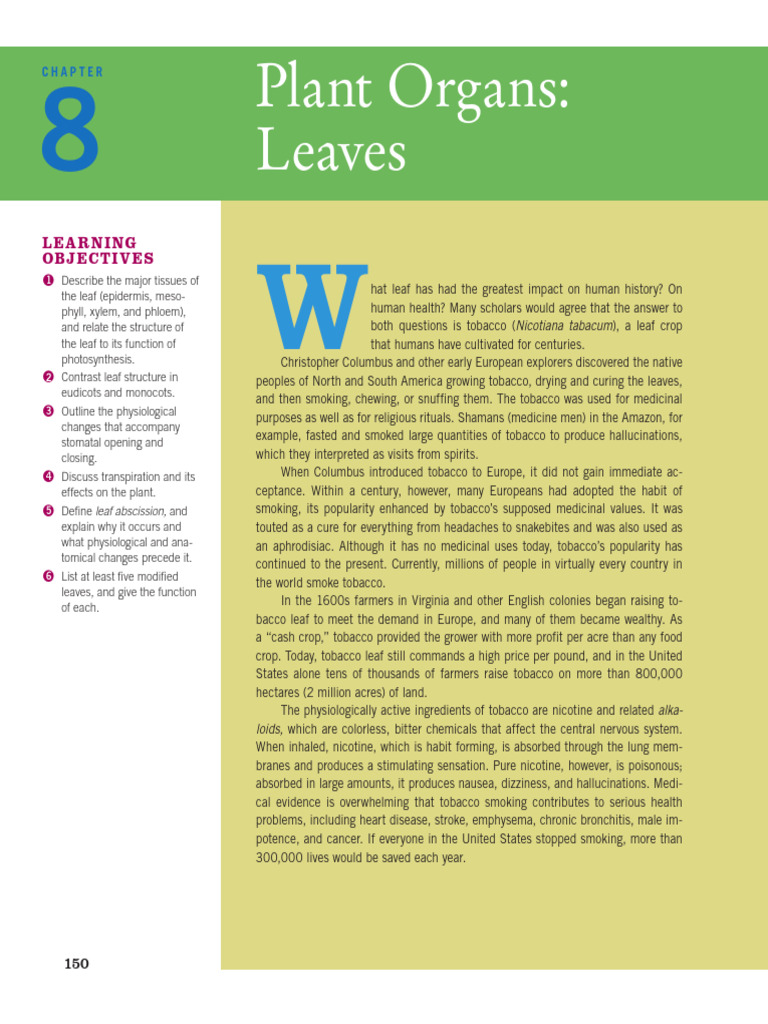 The Leaves | PDF | Leaf | Stoma