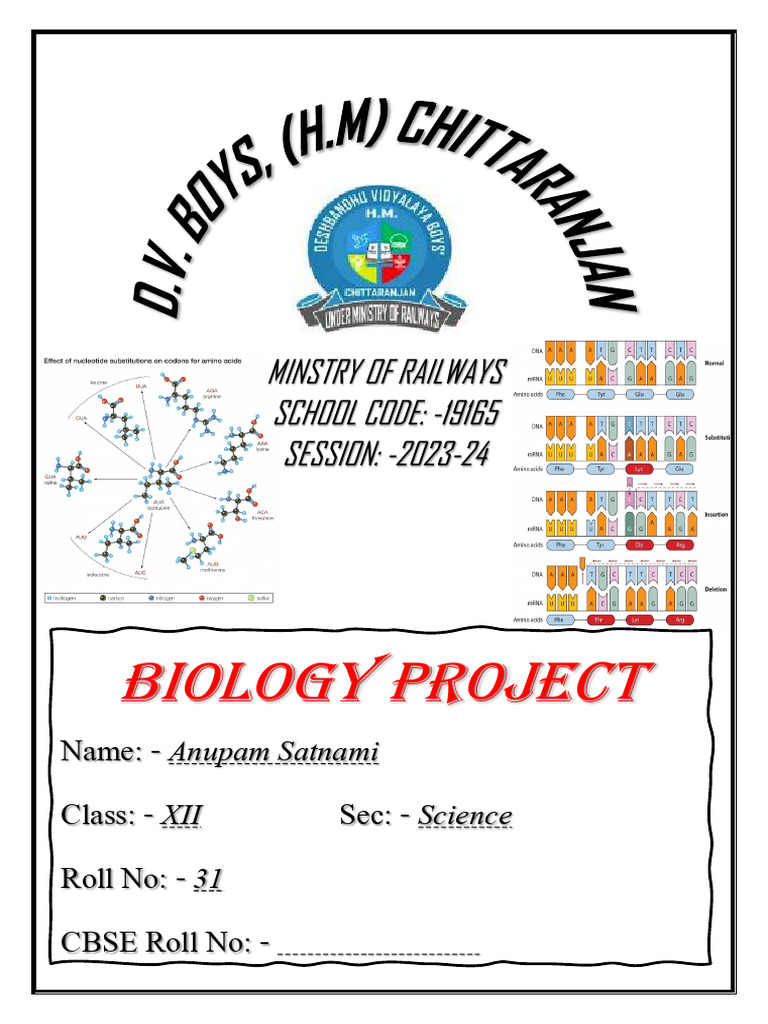 BIO Project | PDF | Point Mutation | Mutation