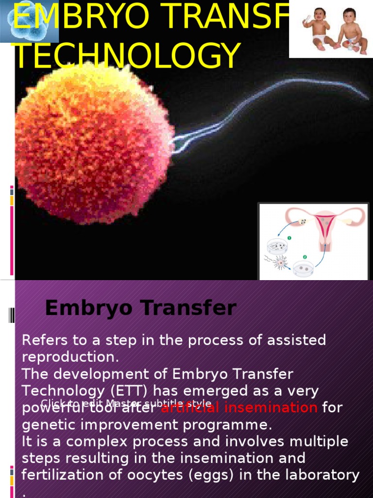 Embryo Transfer Technology | PDF | In Vitro Fertilisation | Fertility