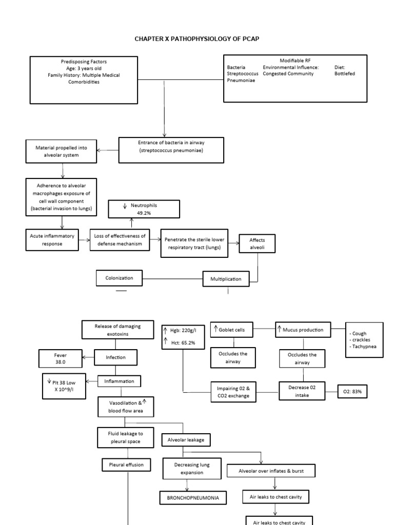 Pathophysiology of Pcap | PDF | Respiratory Tract | Pneumonia