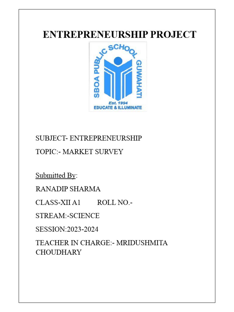 Entrepreneurship Project | PDF