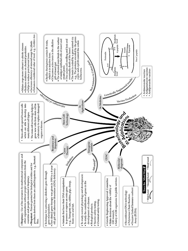 Chapter 10 BIOTECHNOLOGY AND ITS APPLICATIONS MM | PDF
