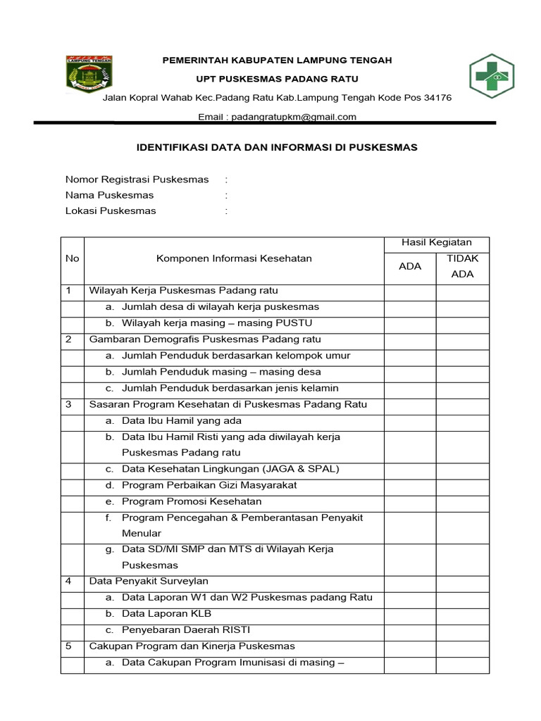 Laporan Data Puskesmas Padang Ratu | PDF