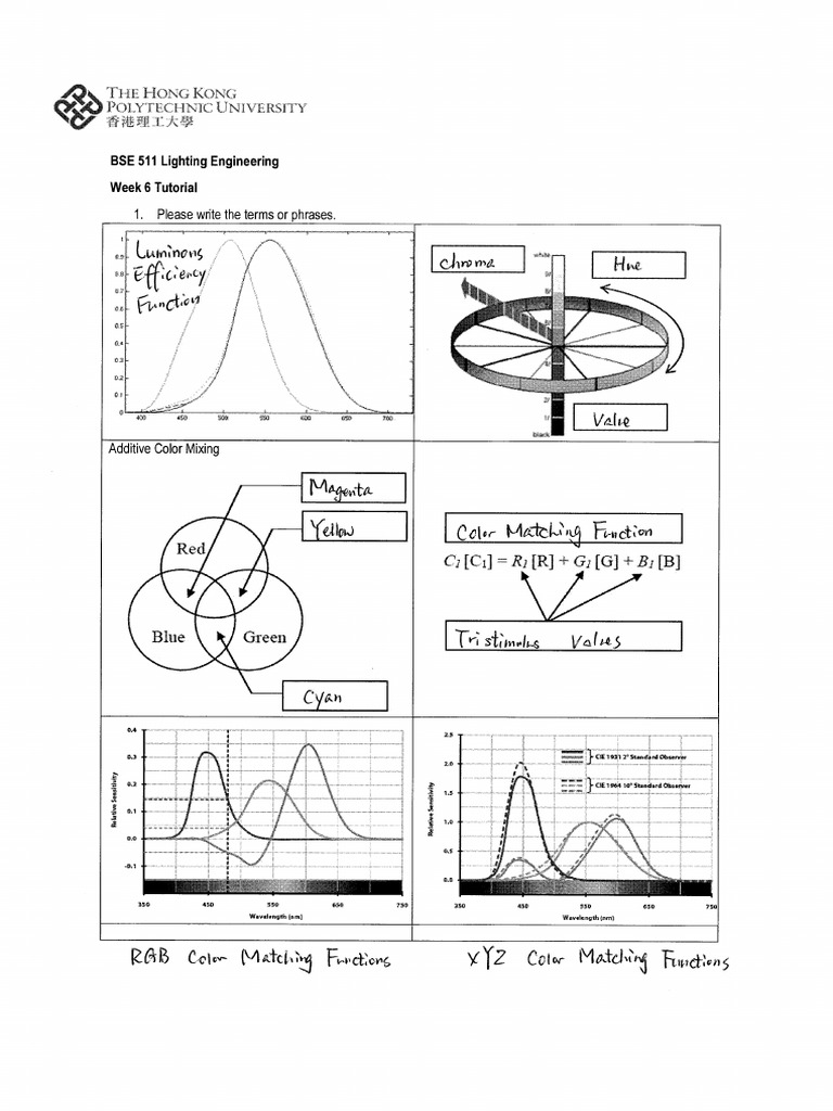 BSE511 Lecture6 (TutorialSolution) | PDF