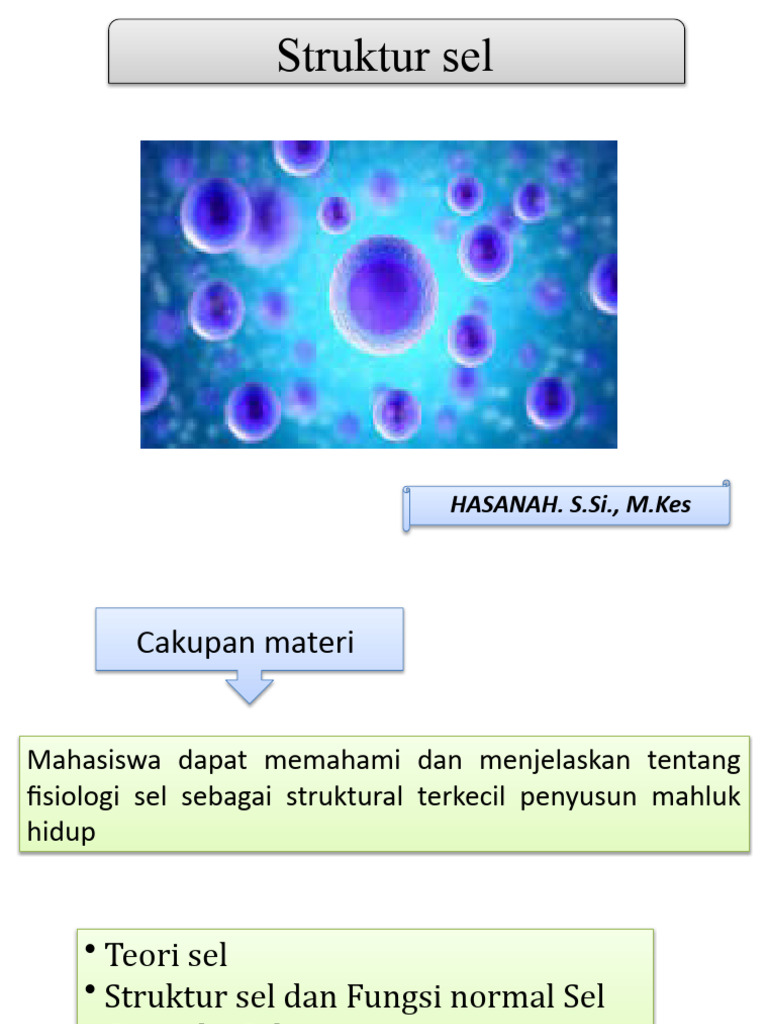 Struktur Dasar Sel | PDF