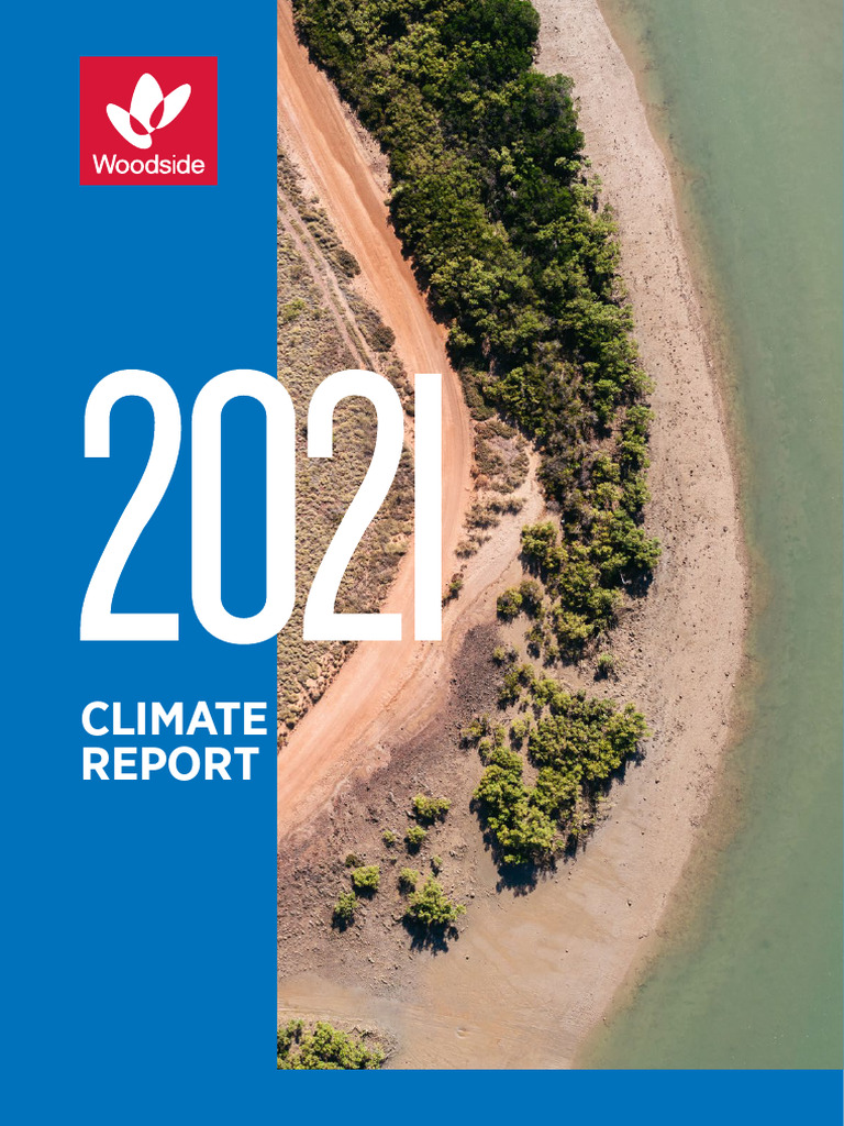 Climate Report 2021 | PDF | Climate Change | Climate Change Mitigation