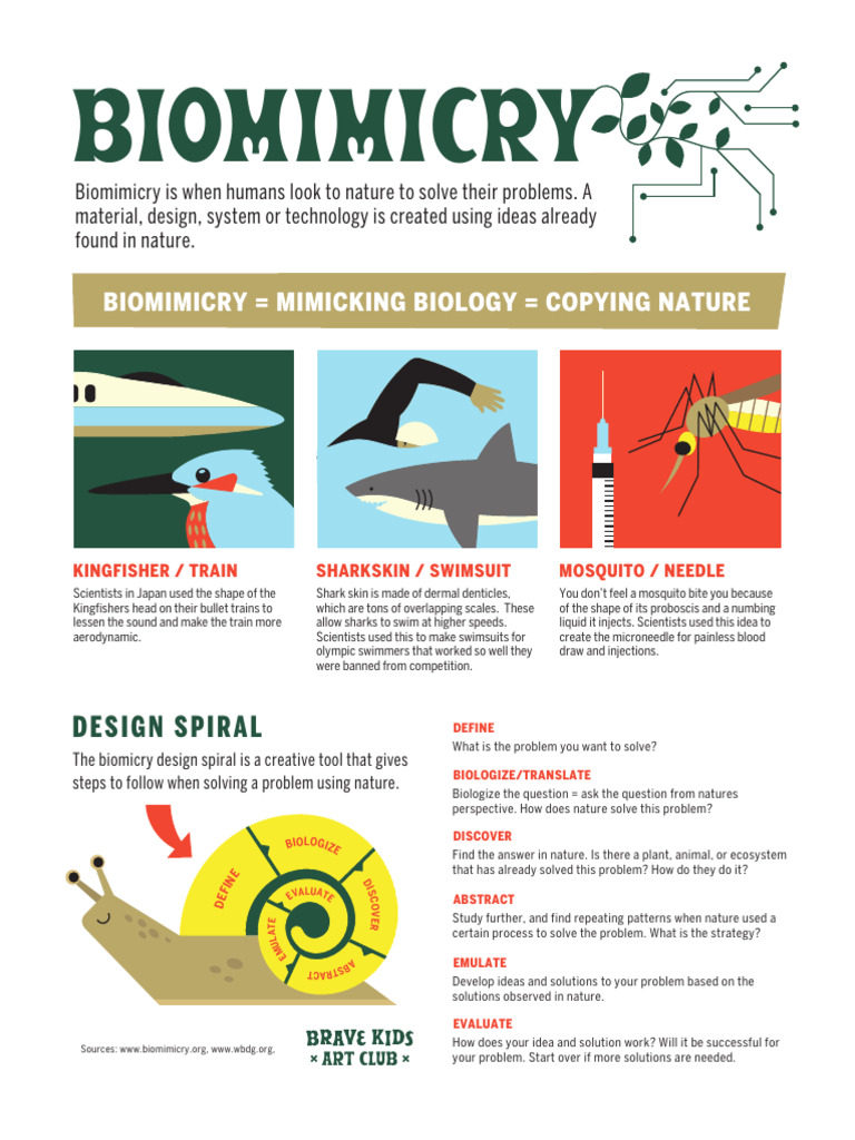 Biomimicry | PDF | Nature