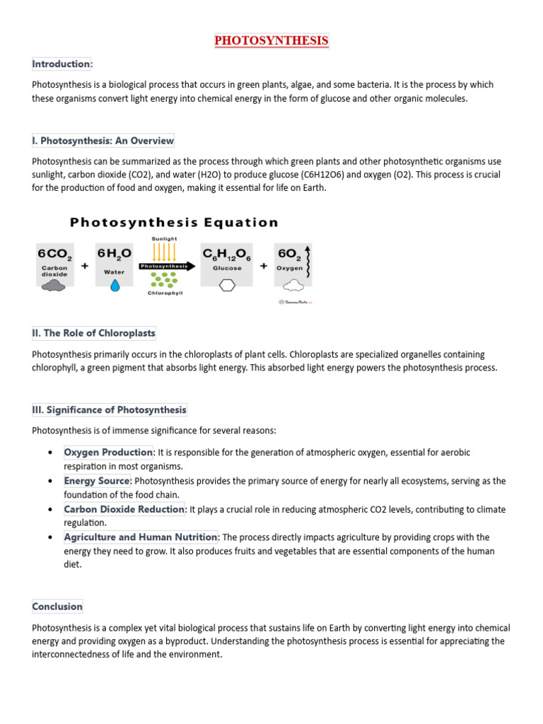 Photosynthesis: Process & Importance | PDF