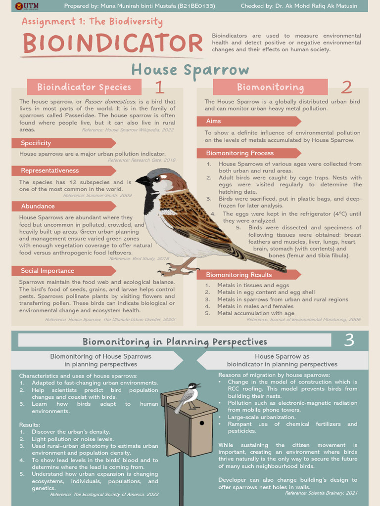 GOOD Example Assignment 1 | PDF | Birds | Natural Environment