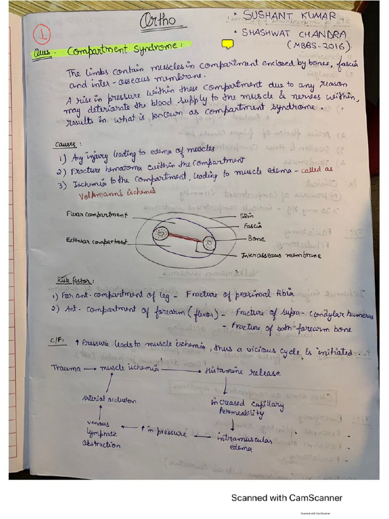 Orthopaedic Notes-1 | PDF