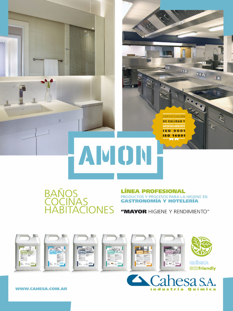 AMON Folleto Digital 1 | PDF