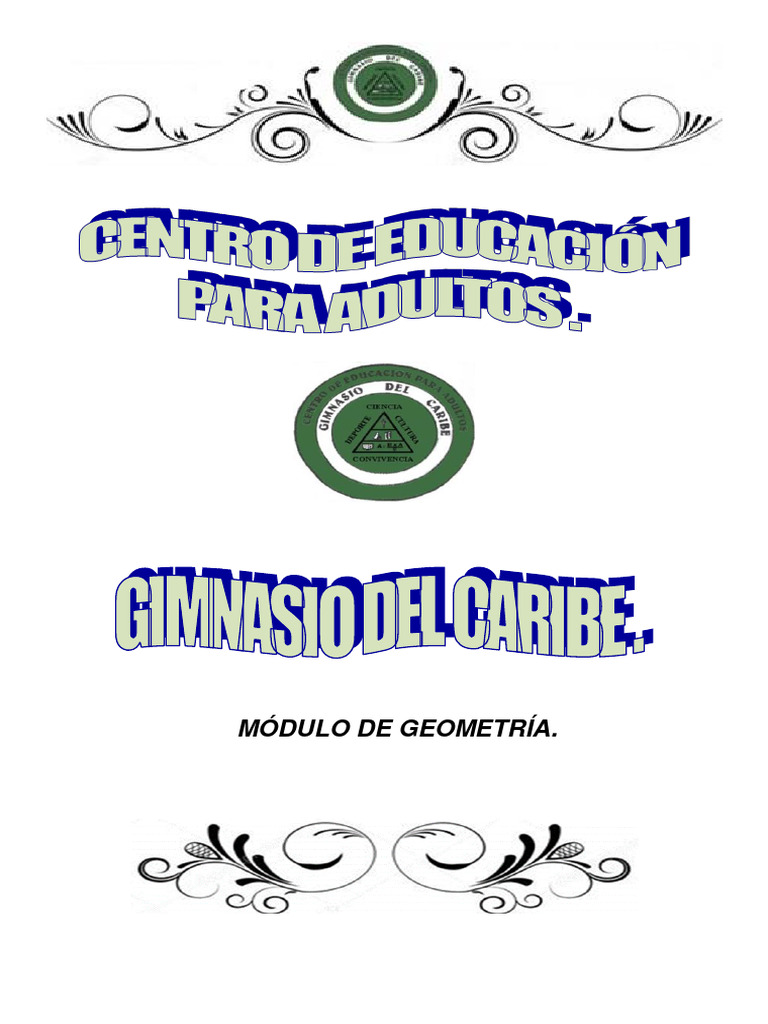 Modulo Geometria | PDF | Triángulo | Rotación Modulo Geometria | PDF | Triángulo | Rotación