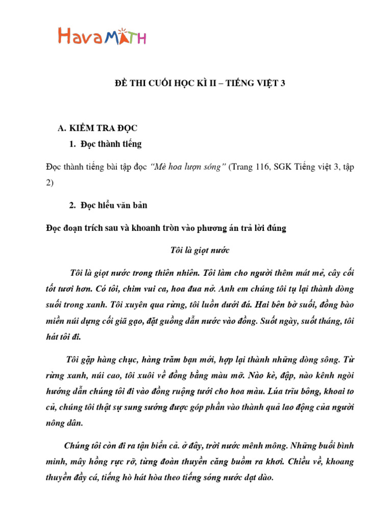 De 5 Kiem Tra Cuoi Hkii Tieng Viet 3 | PDF