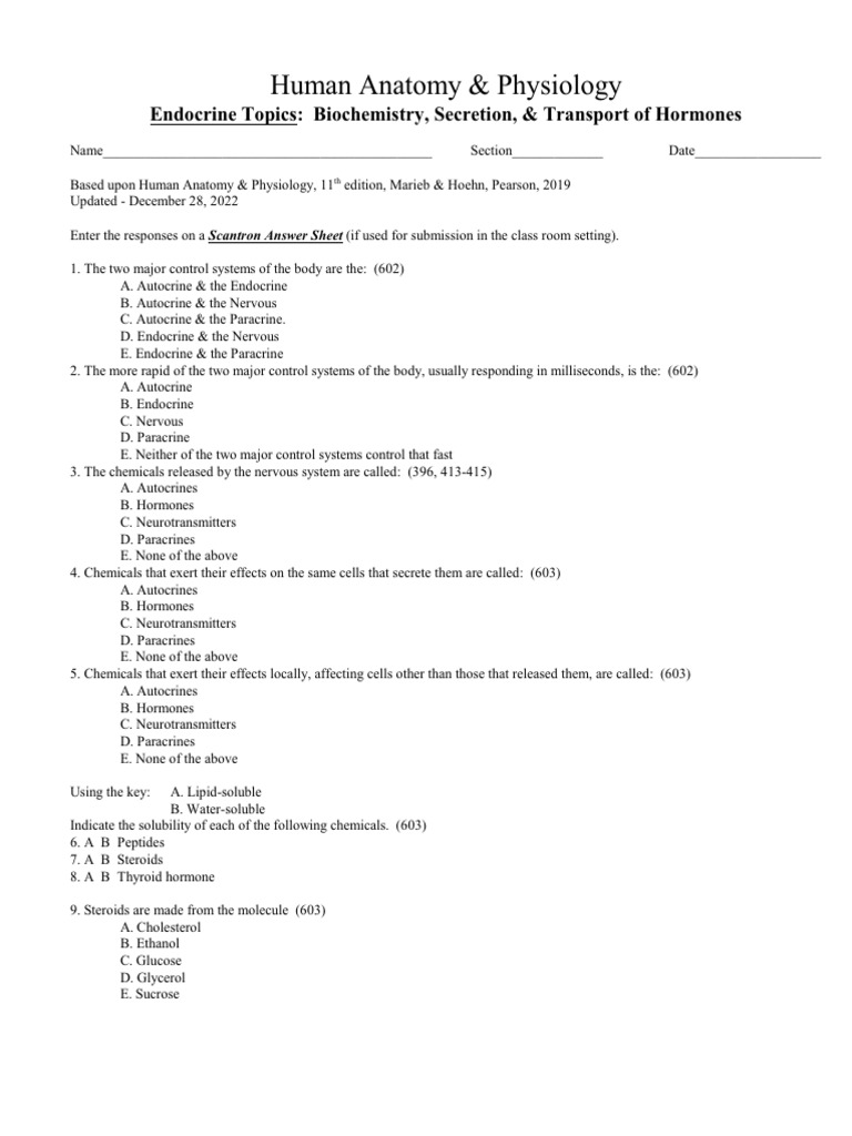 Endocrine System Worksheet Answers | PDF | Hormone | Endocrine System