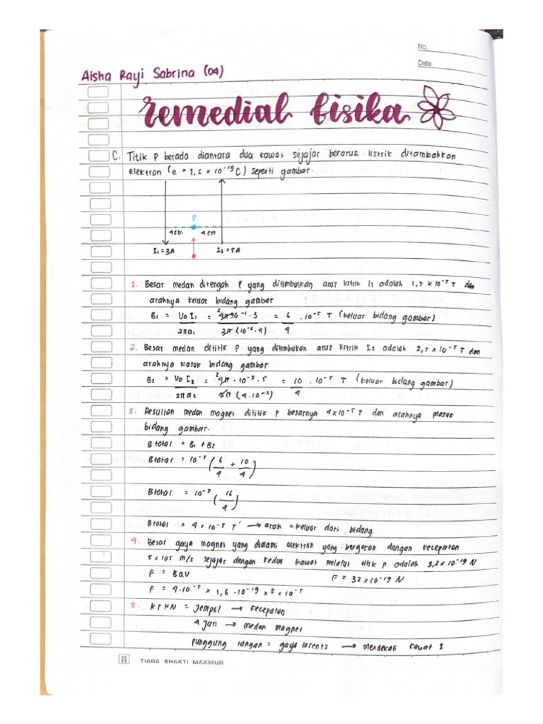 Remedial Cara - Aisha Rayi | PDF