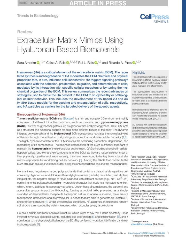 1 s2.0 S0167779920301670 Main | PDF | Extracellular Matrix | Signal Transduction