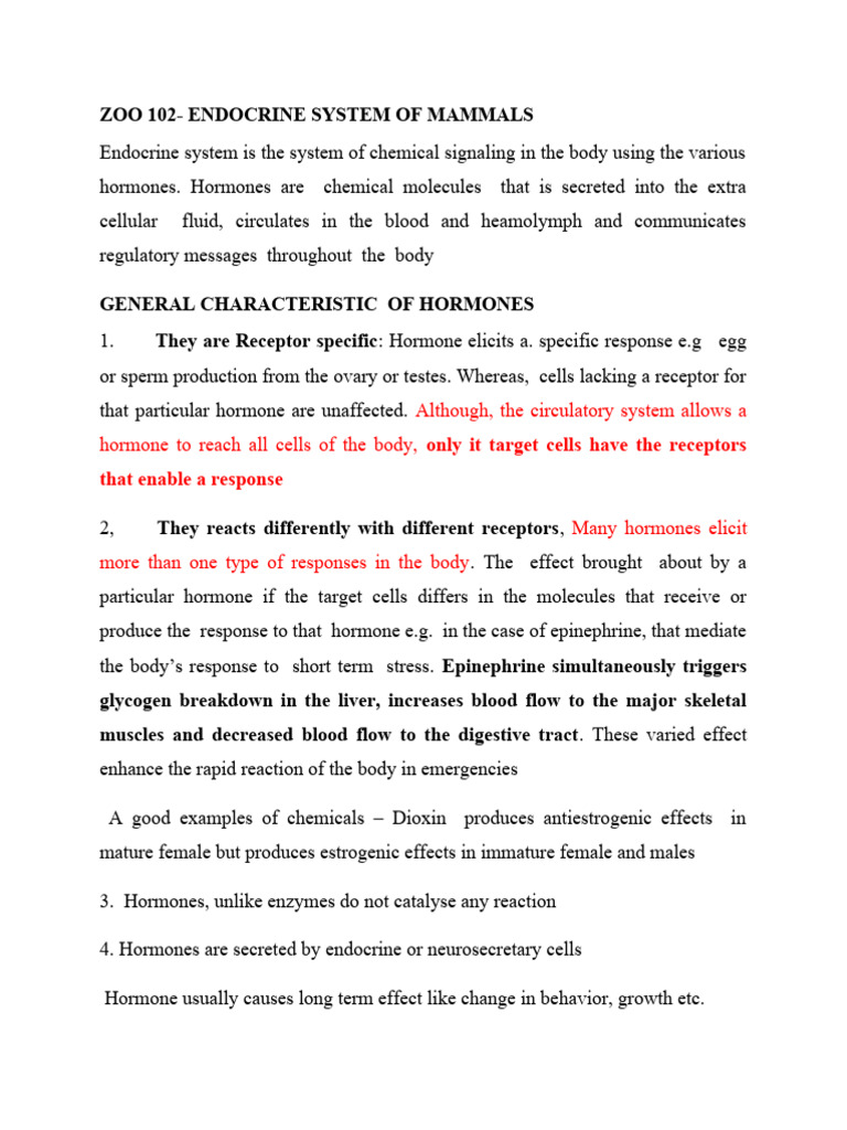 Endocrine System Note | PDF | Hormone | Human Body